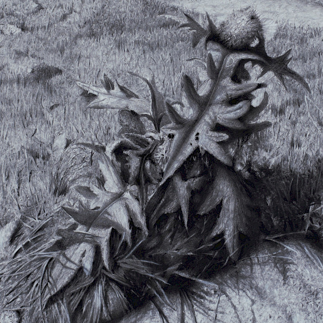 Martin Kudlek Gallery, Cologne